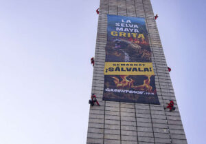 Semarnat dialoga con Greenpeace tras protesta por la Selva Maya - MGM ...